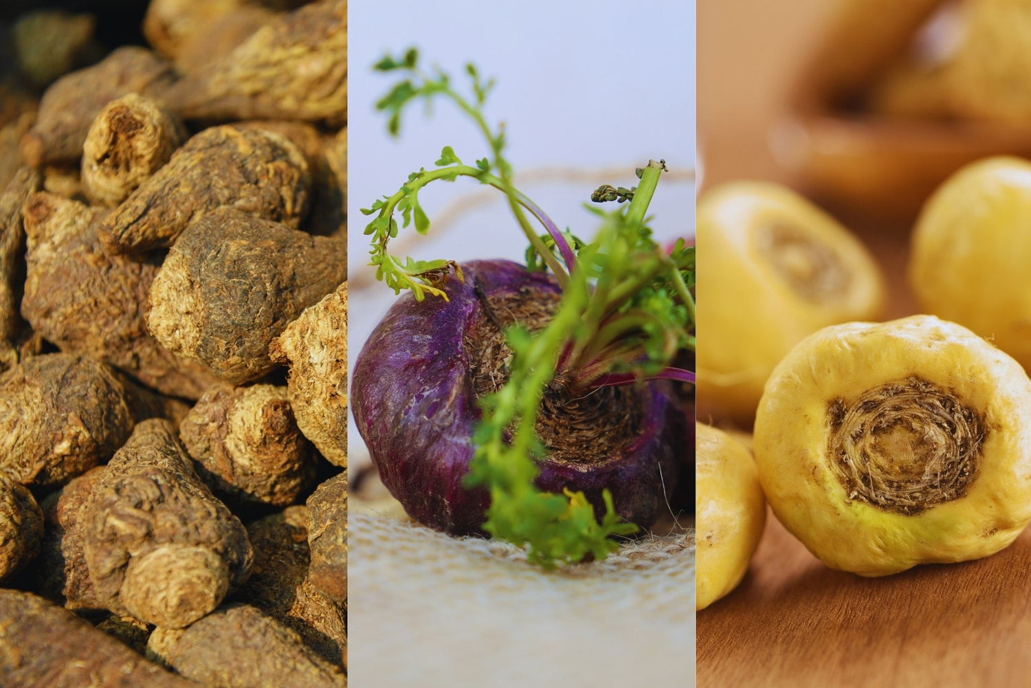 Maca: 4 Key Health Benefits – Brain Tea