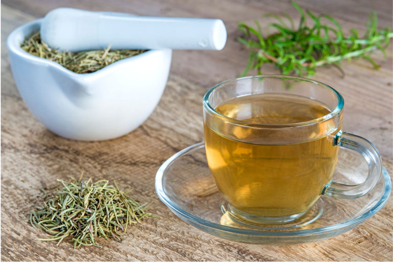 Rosemary: The Amazing Herb for Memory, Focus, and Vitality – Brain Tea