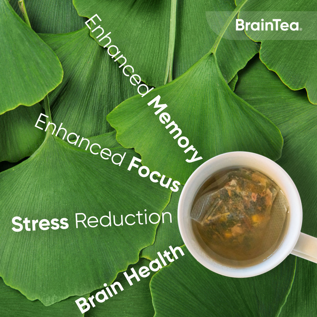 Brain Tea - Gotu Kola, Ginkgo Biloba, MCT Oil, Lion’s Mane Mushroom