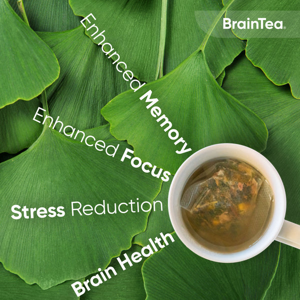Brain Tea - Gotu Kola, Ginkgo Biloba, MCT Oil, Lion’s Mane Mushroom
