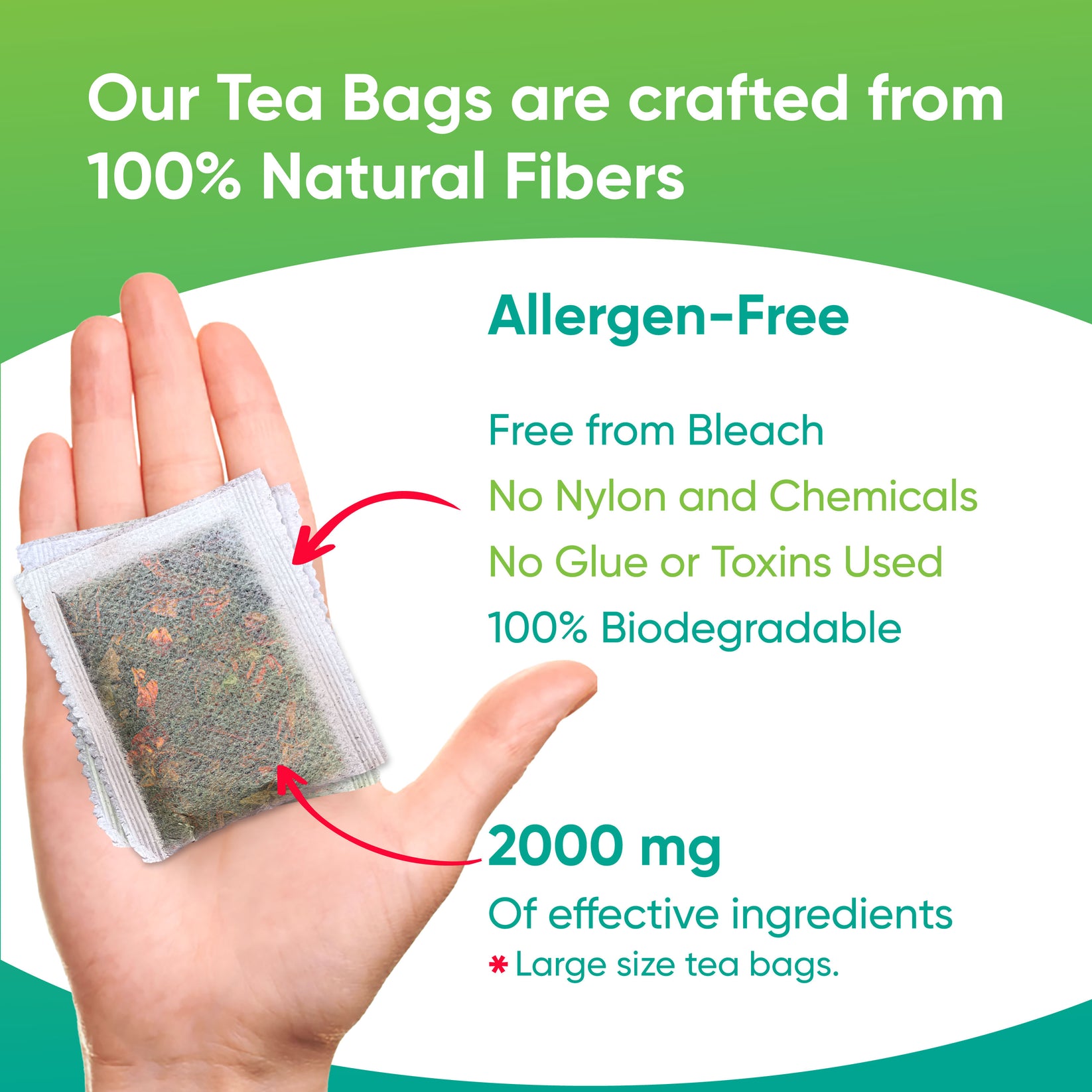 Brain Tea - Gotu Kola, Ginkgo Biloba, MCT Oil, Lion’s Mane Mushroom