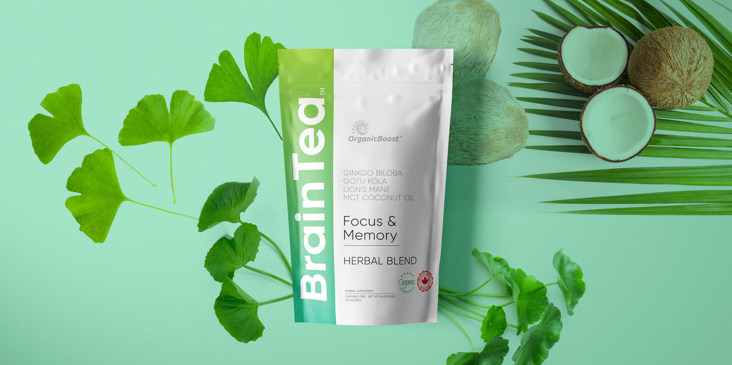 Brain Tea | Nootropic Tea for Better Focus and Memory